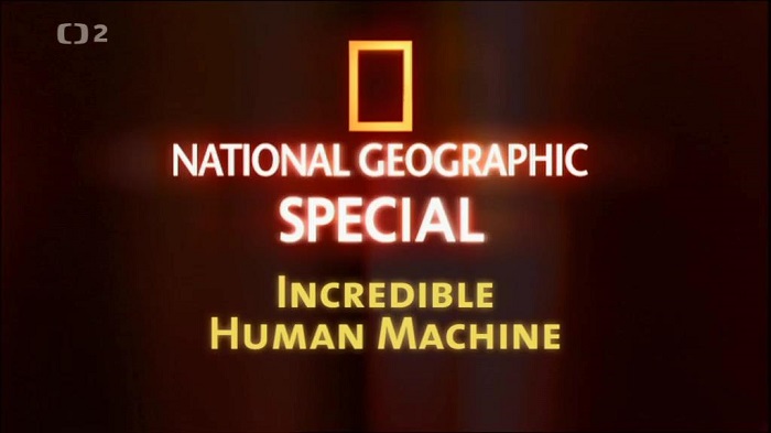 Objevme dokonalost fungování naąeho těla v průběhu jednoho dne.